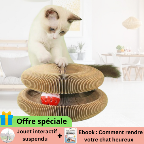 GRIFFOIR CHAT CARTON | GRIFFTOY™ – Leschamour
